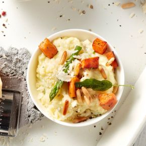 Schne-Frost Kartoffelspezialitäten – Hochwertige Tiefkühlprodukte für Großverbraucher